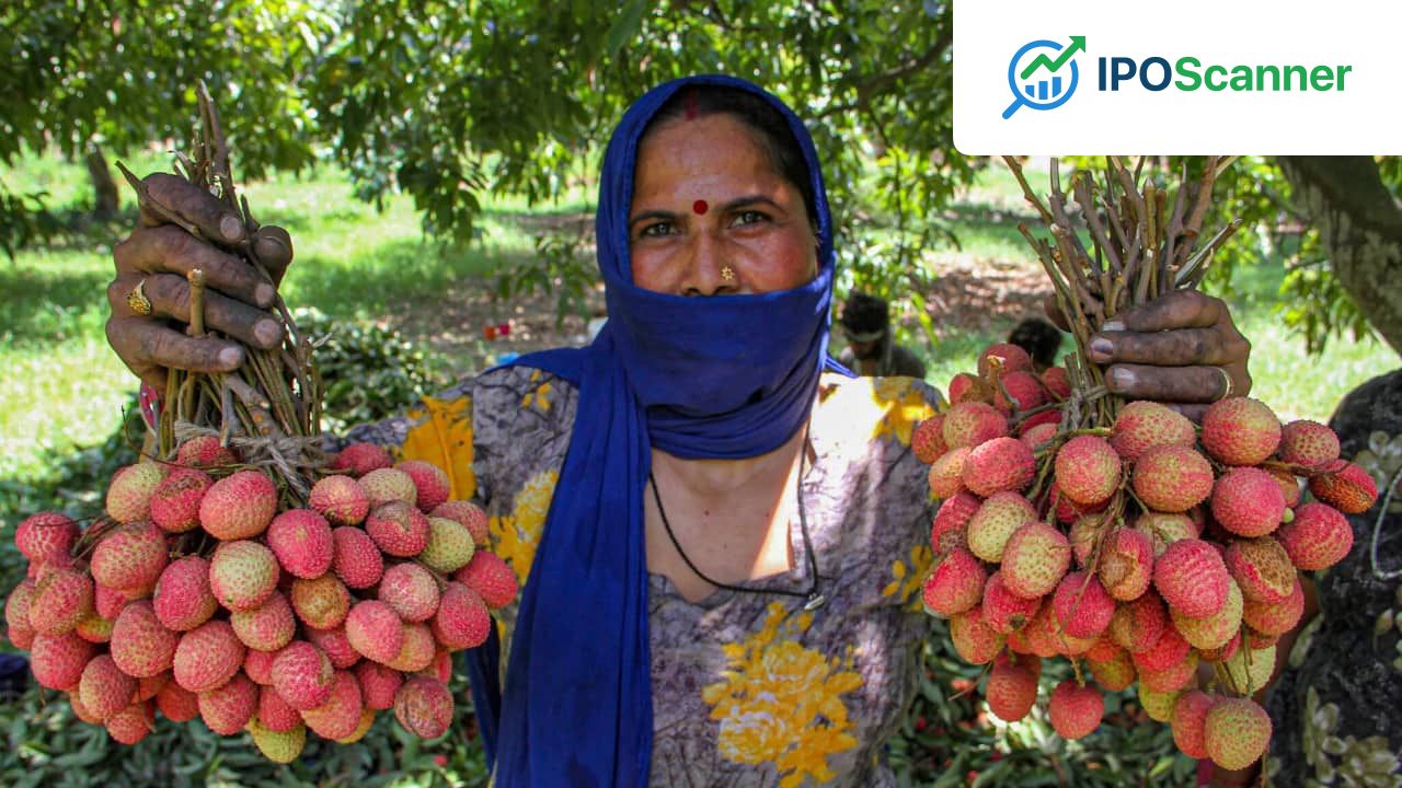 Litchi Cultivation Gains Momentum in Jammu as Farmers See Increased ...